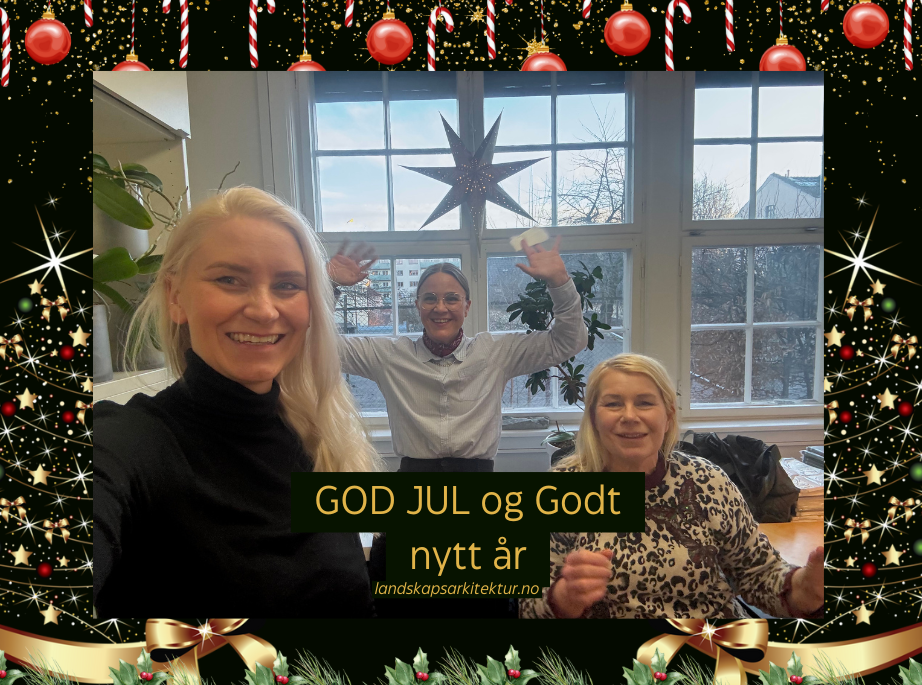 NLA - God jul med juleoppsummering fra NLA