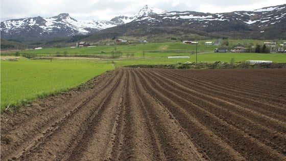 NLA - Jord og jordvern