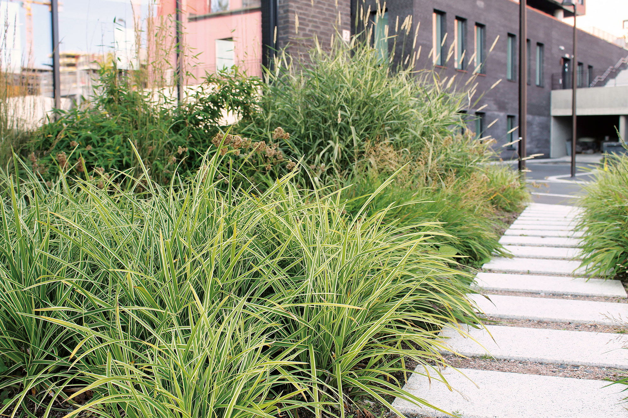 NLA - Hovedkontor COWI Norge