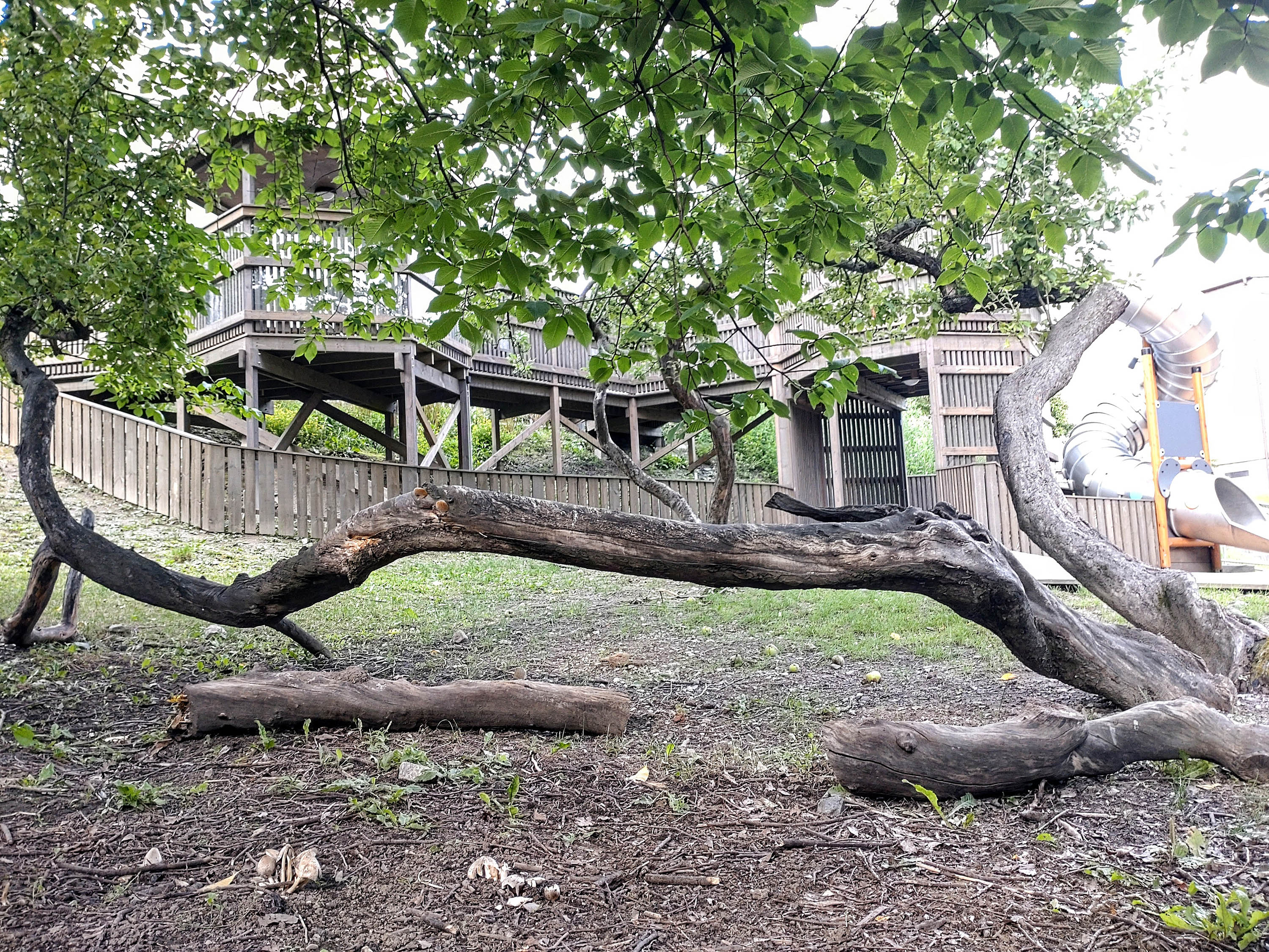 NLA - Thor Olsens barnehage