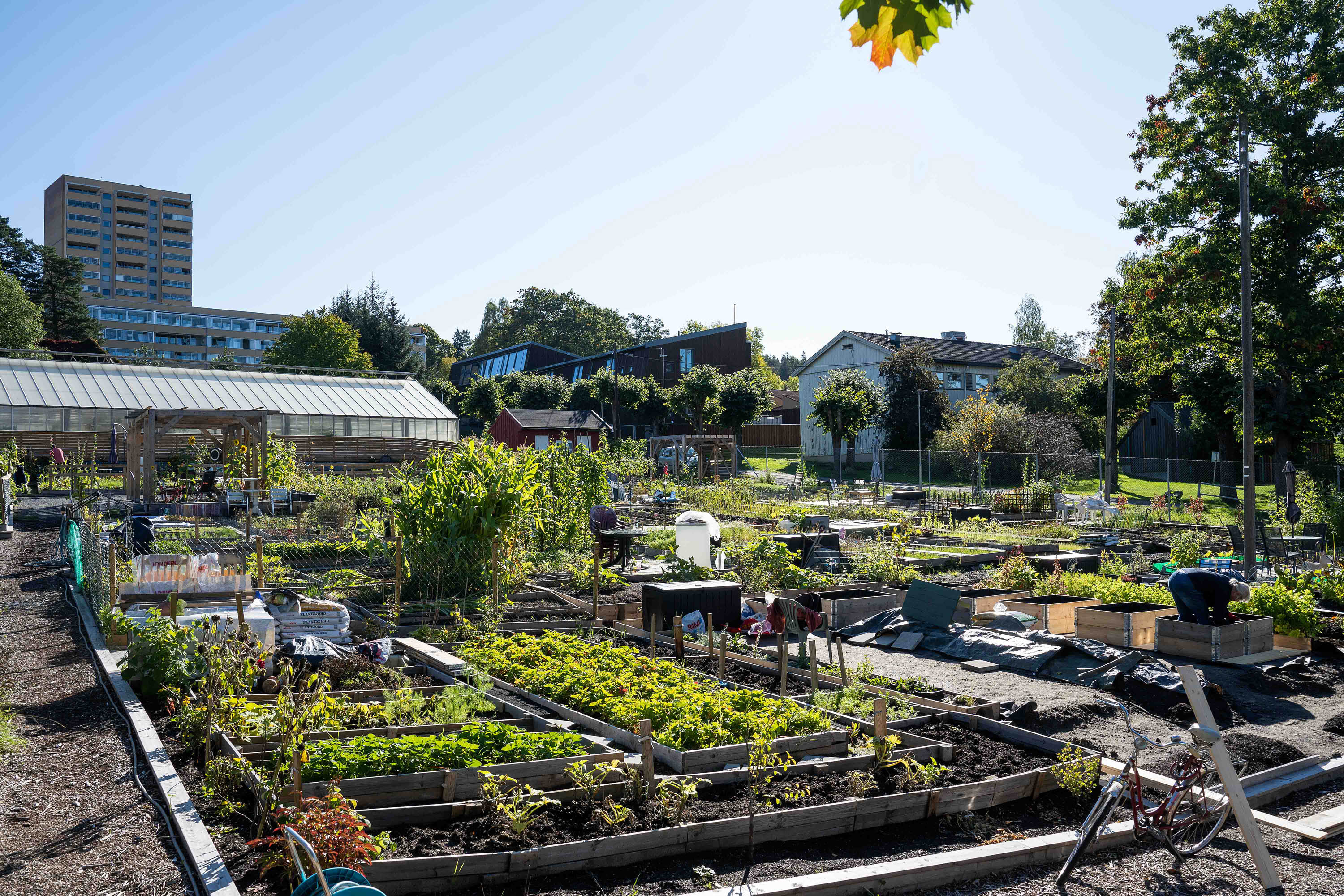 NLA - Trosterud parsellhage
